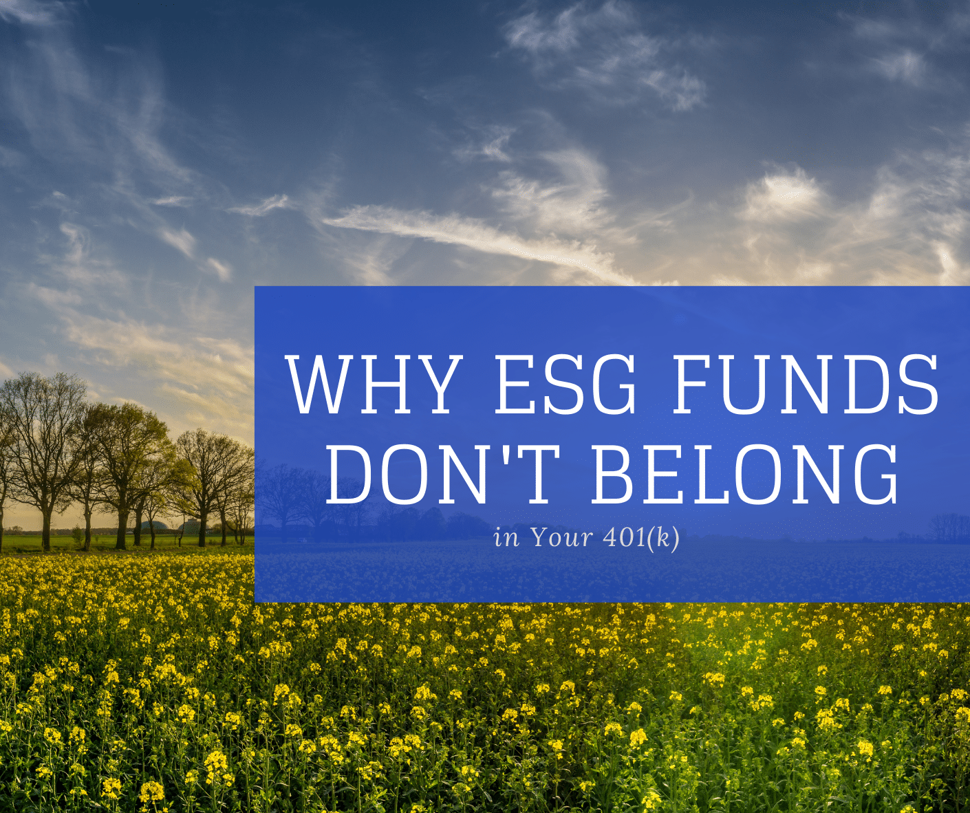 Why ESG Funds Don't Belong in Your 401(k) - Peter Lazaroff
